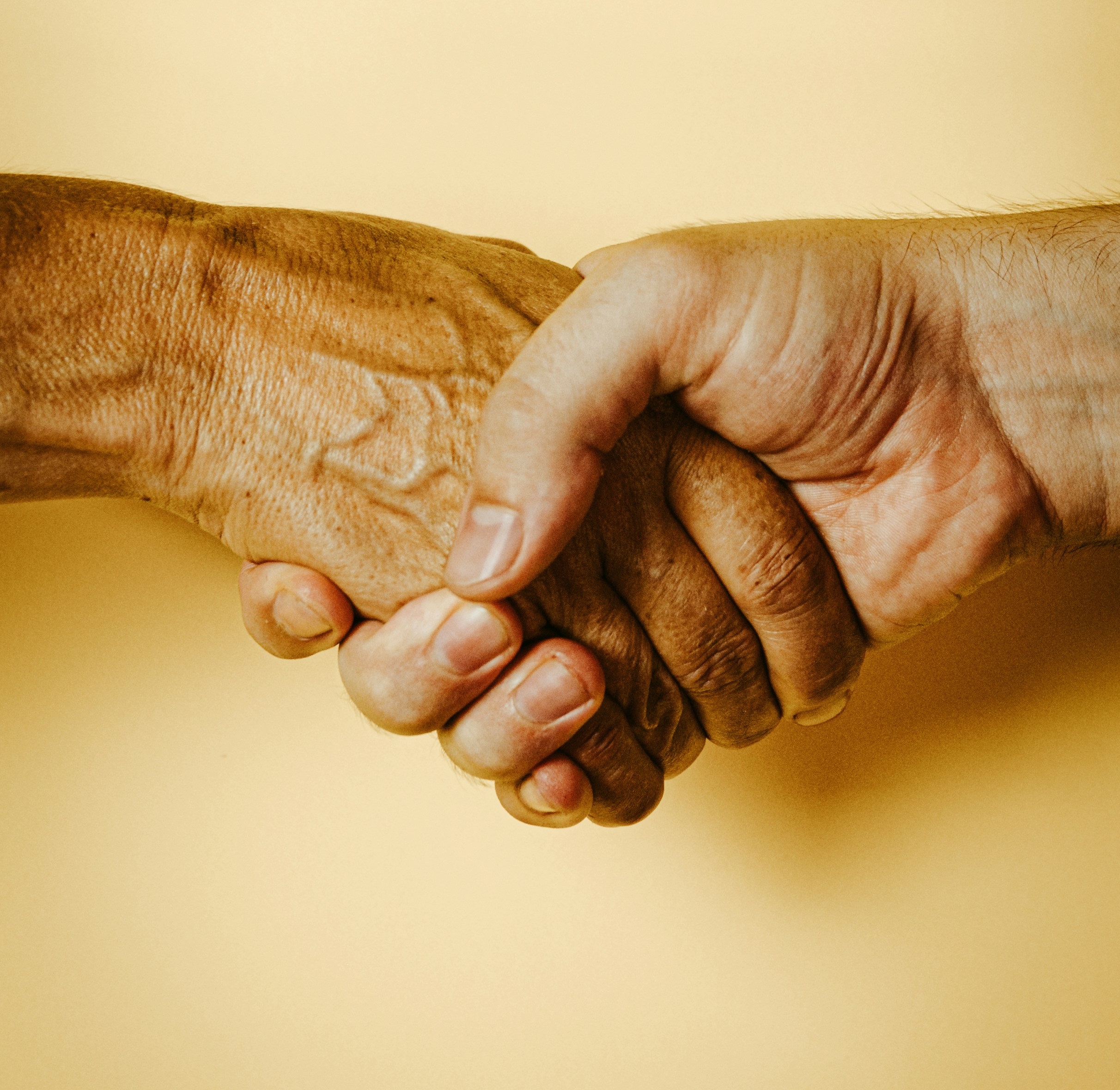 Menedžment socialnih dejavnosti | FKPV